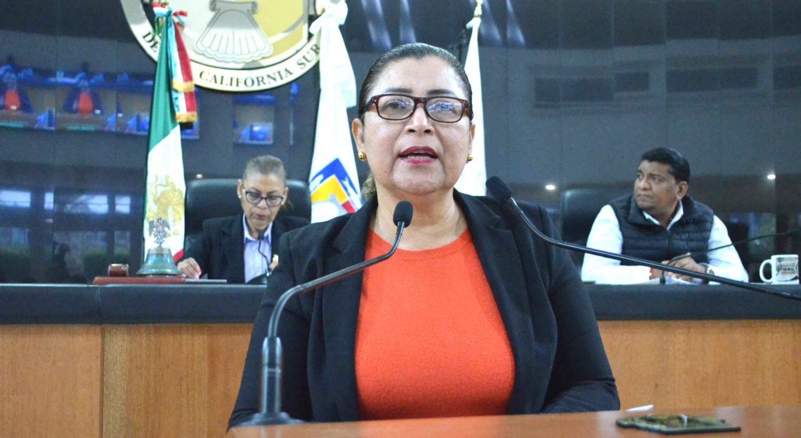 Propone diputada María Luisa Ojeda que se amplíen conductas ...